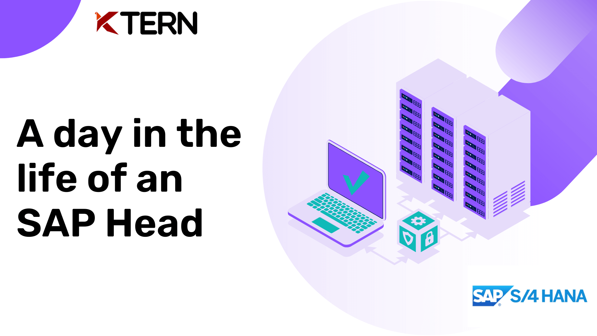 A Day in the Life of an SAP Head